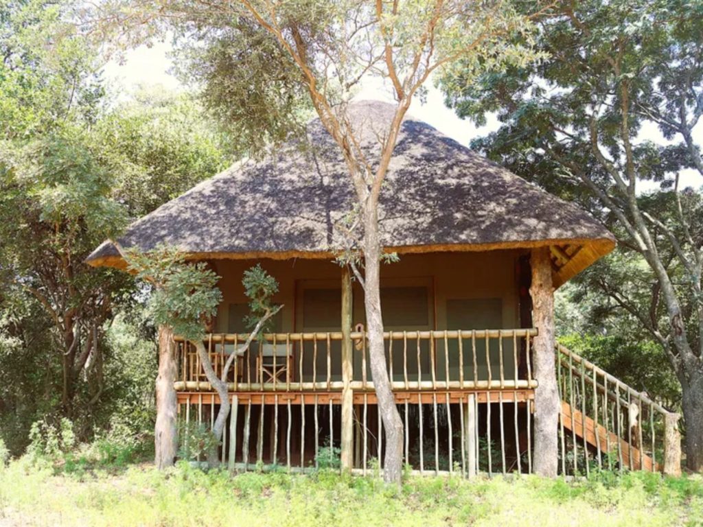 Honeyguide Ranger Camp – Entabeni Game Reserve - OutSight Travel